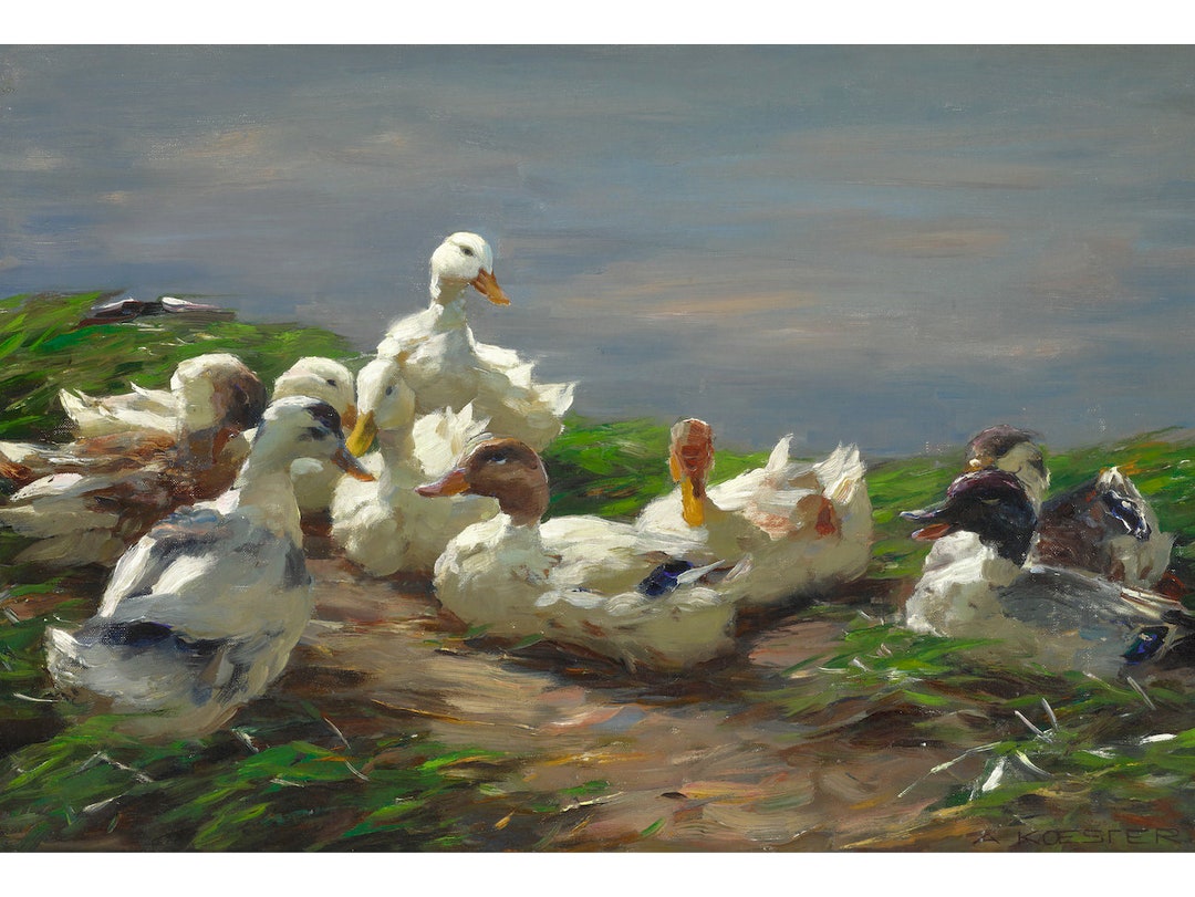 Nine Ducks on a Pond | Alexander Koester | Animal Poster Print - Etsy