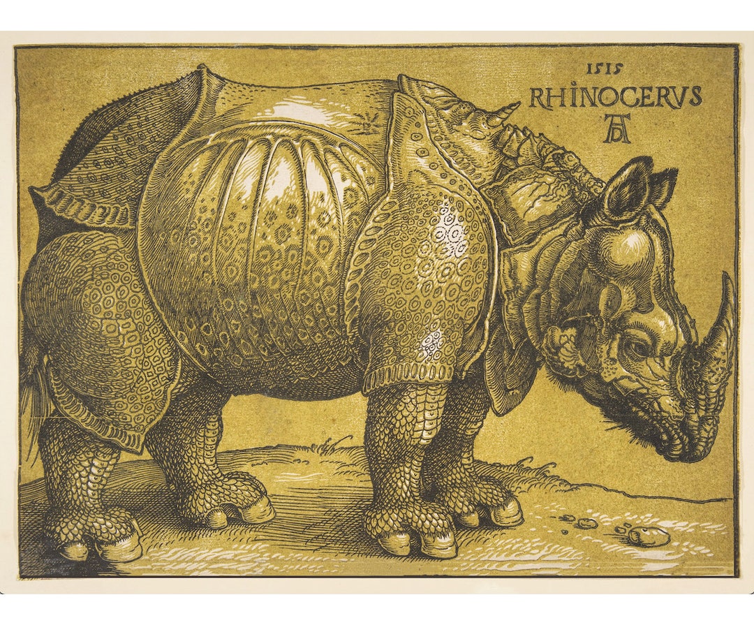 The Rhinoceros Albrect Durer 1528 Medieval Rhino Painting Print - Etsy