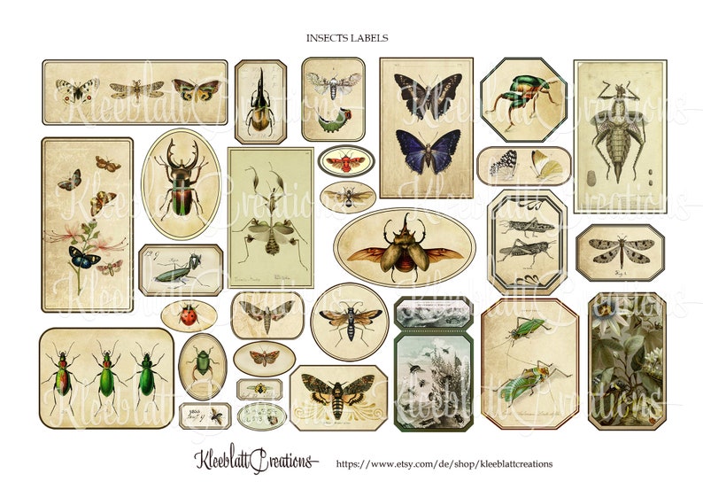 INSECTS LABELS, Ephemera, Embellishments, Junk Journal, Digital ...