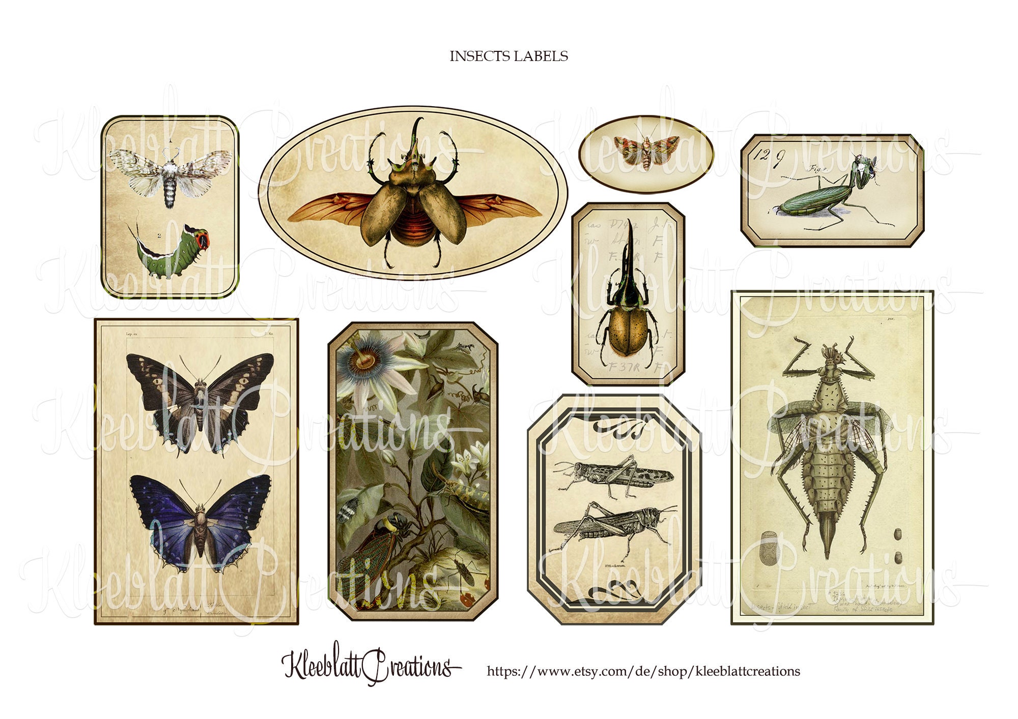 INSECTS LABELS Ephemera Embellishments Junk Journal - Etsy