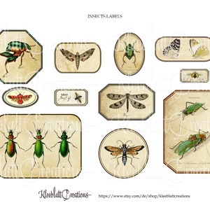 INSECTS LABELS, Ephemera, Embellishments, Junk Journal, Digital ...