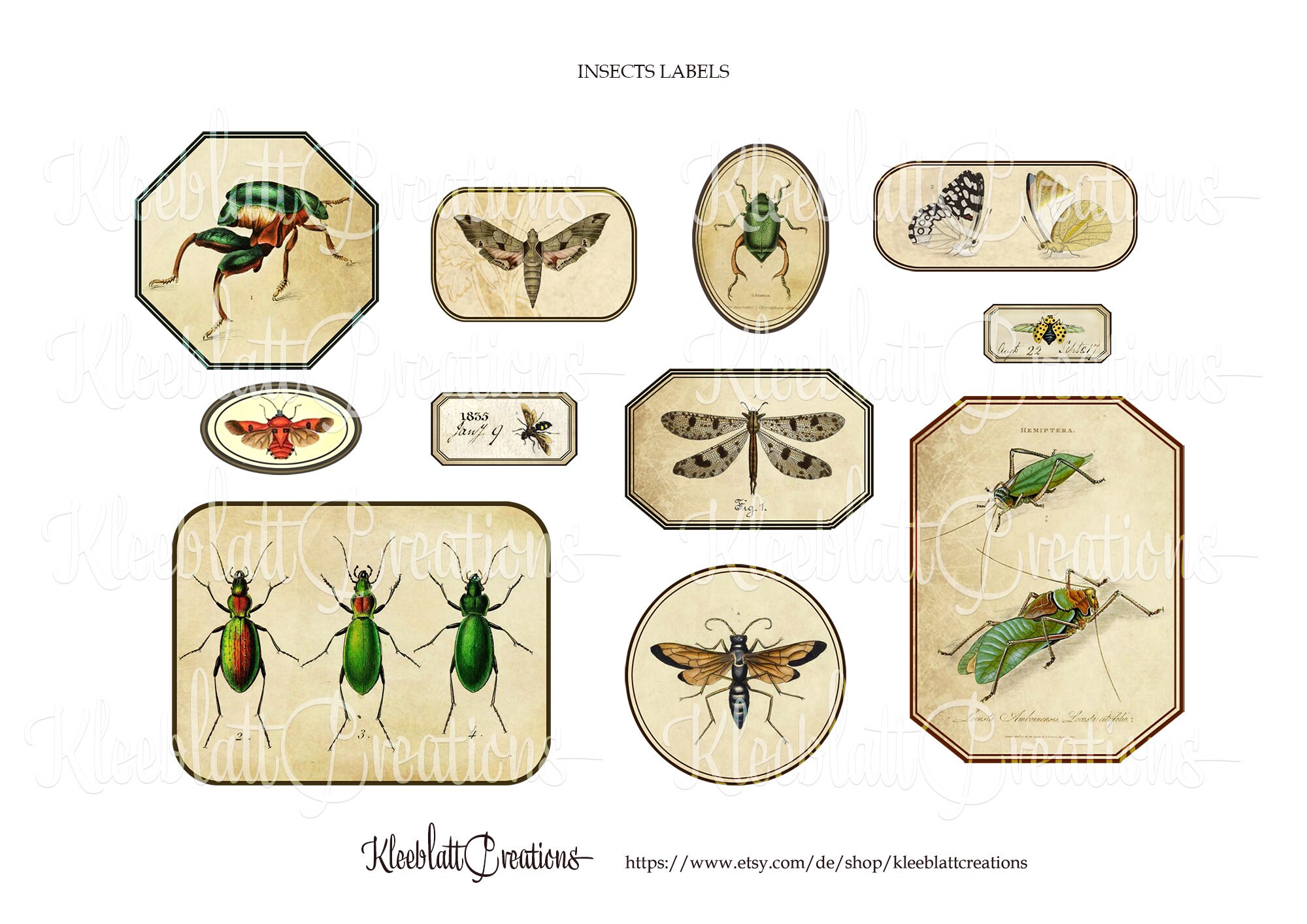 INSECTS LABELS Ephemera Embellishments Junk Journal - Etsy