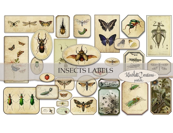 INSECTS LABELS Ephemera Embellishments Junk Journal | Etsy