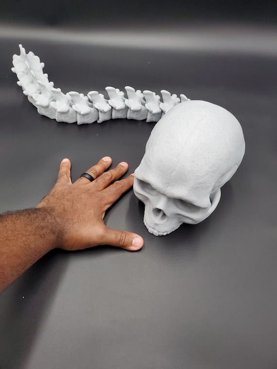 Life Size 1:1 Predator Trophy Skull & Spine Articulated - Etsy