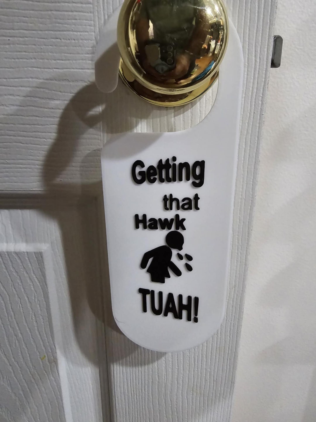 V1 Hawk Tuah Hanger Do Not Disturb Sign door Hanger Spit on That Thang ...