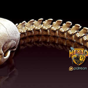 Life Size | 1:1 | Predator Trophy Skull & Spine | Articulated ...