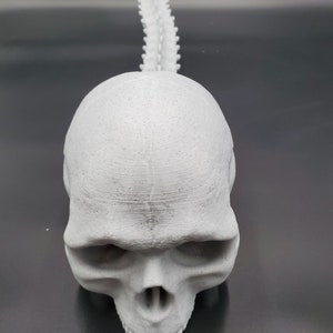 Life Size | 1:1 | Predator Trophy Skull & Spine | Articulated ...