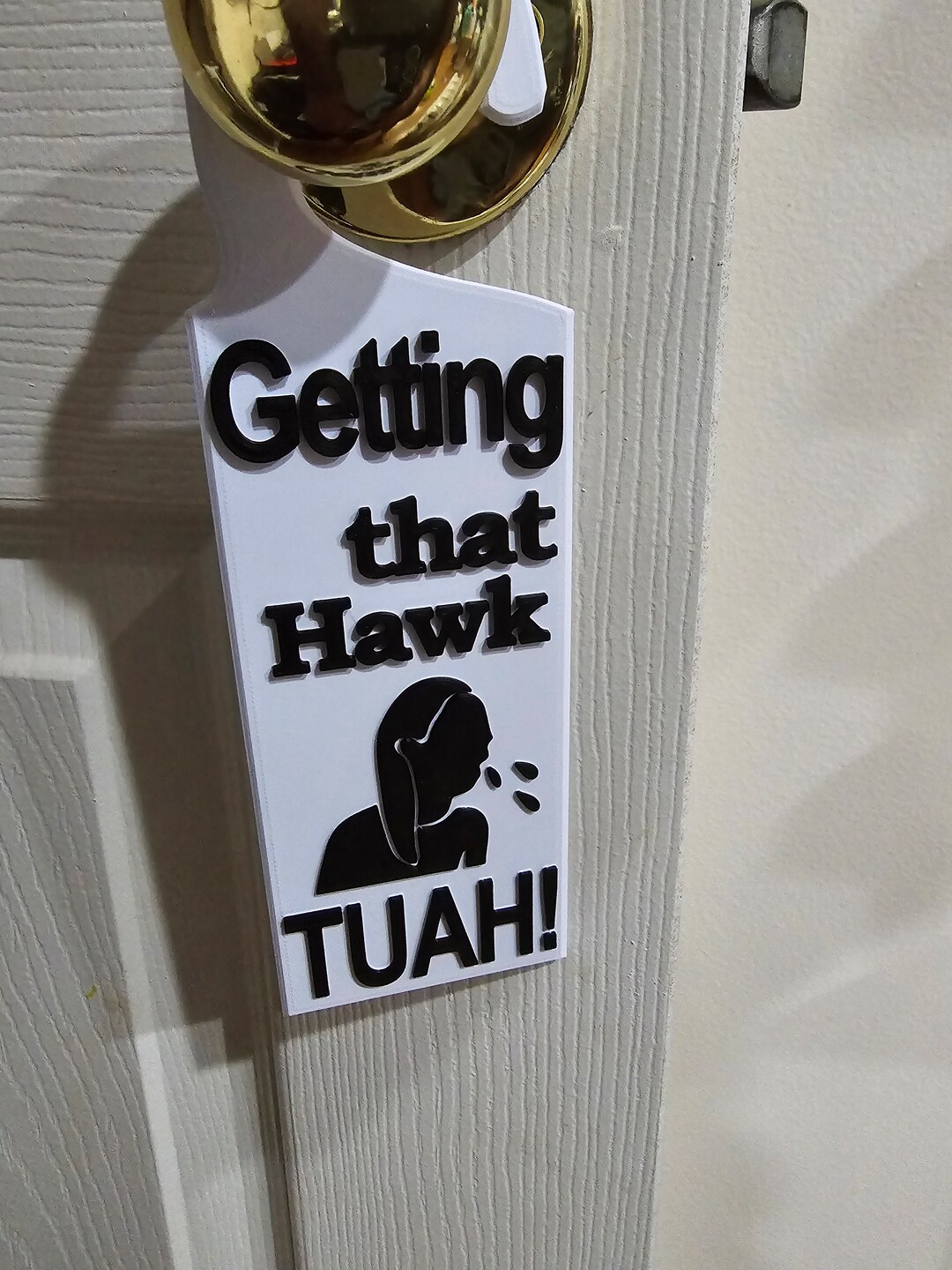 V2 Hawk Tuah Hanger Do Not Disturb Sign door Hanger Spit on That Thang ...