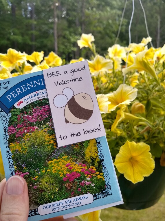 Bee A Good Valentine Printable for Flower Seed Packets - Etsy