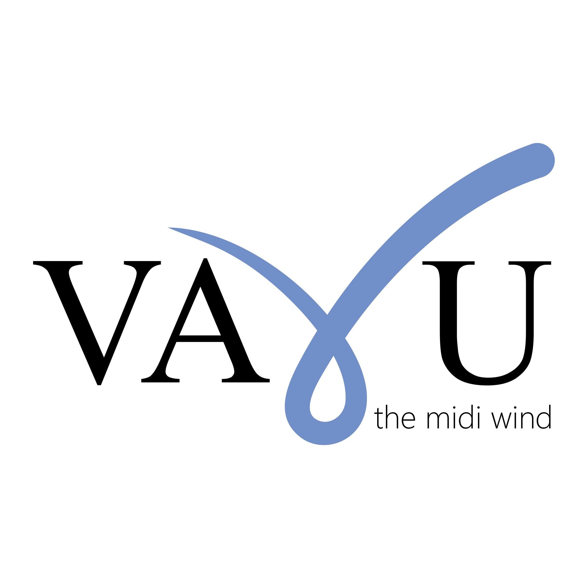 VAYU - Midi Breath Controller - Etsy