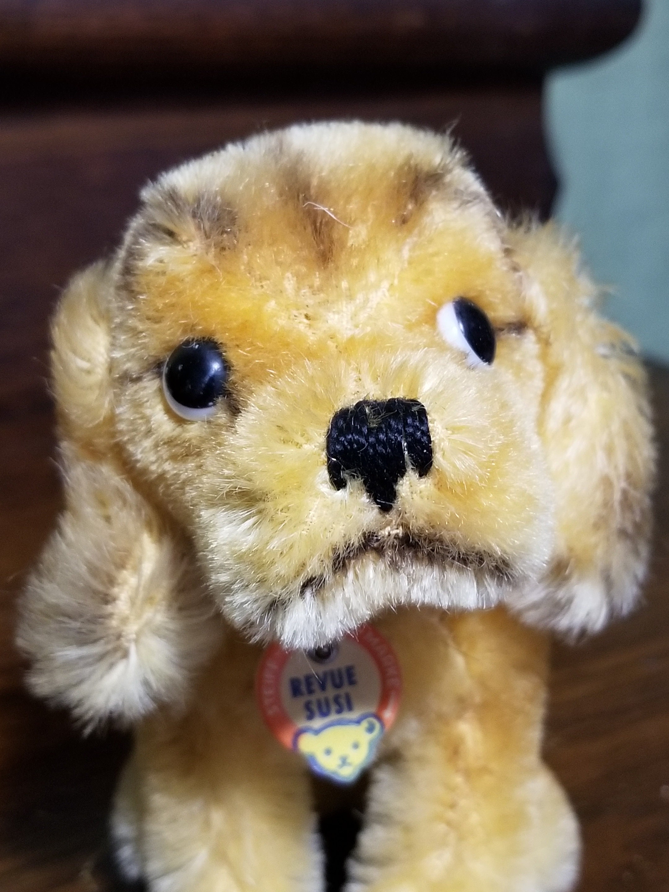 Vintage STEIFF revue Susi Cocker Spaniel Dog - Etsy