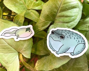 Tadpole Sticker - Etsy