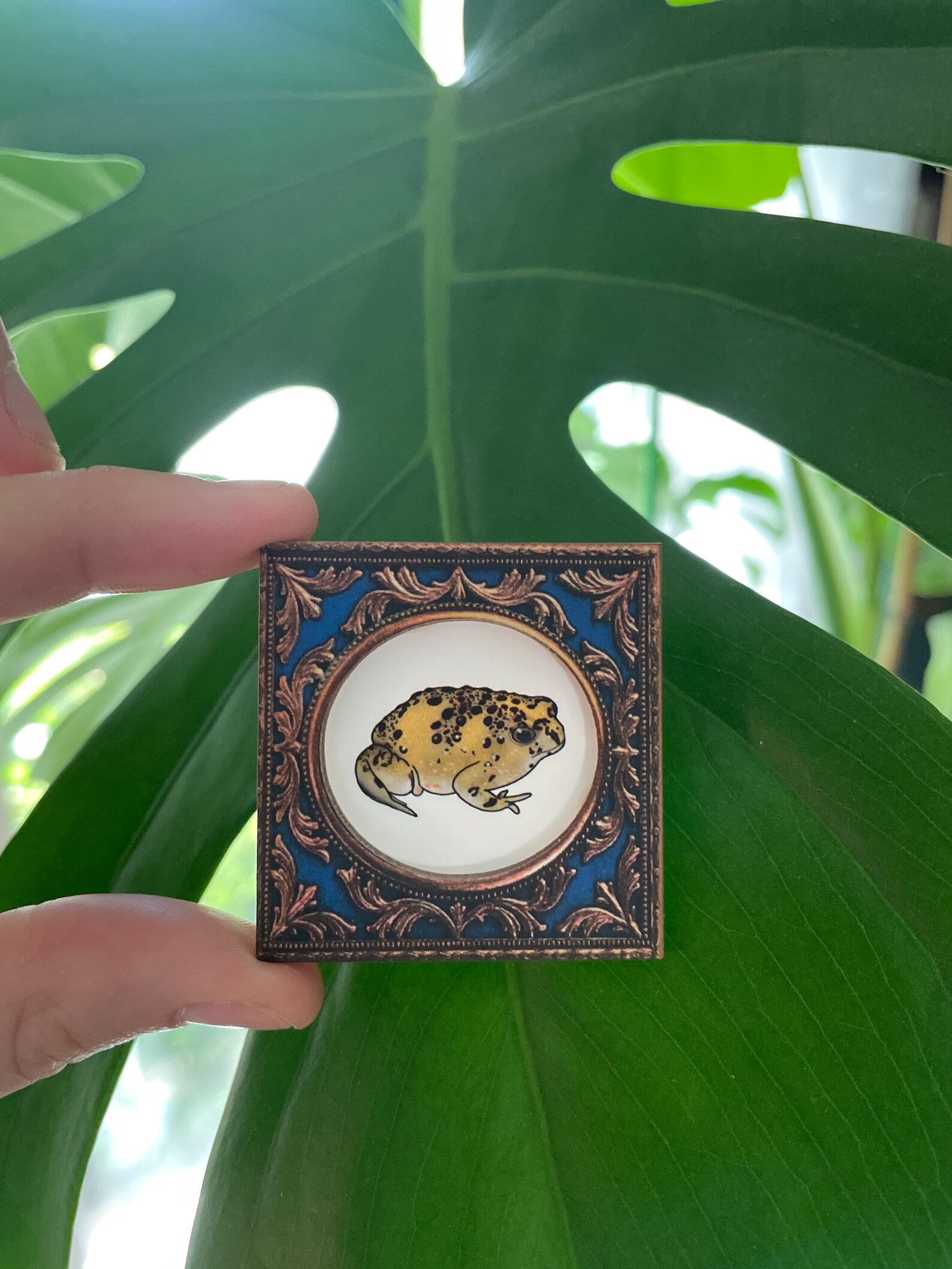 Tiny Framed Toad Print - Etsy