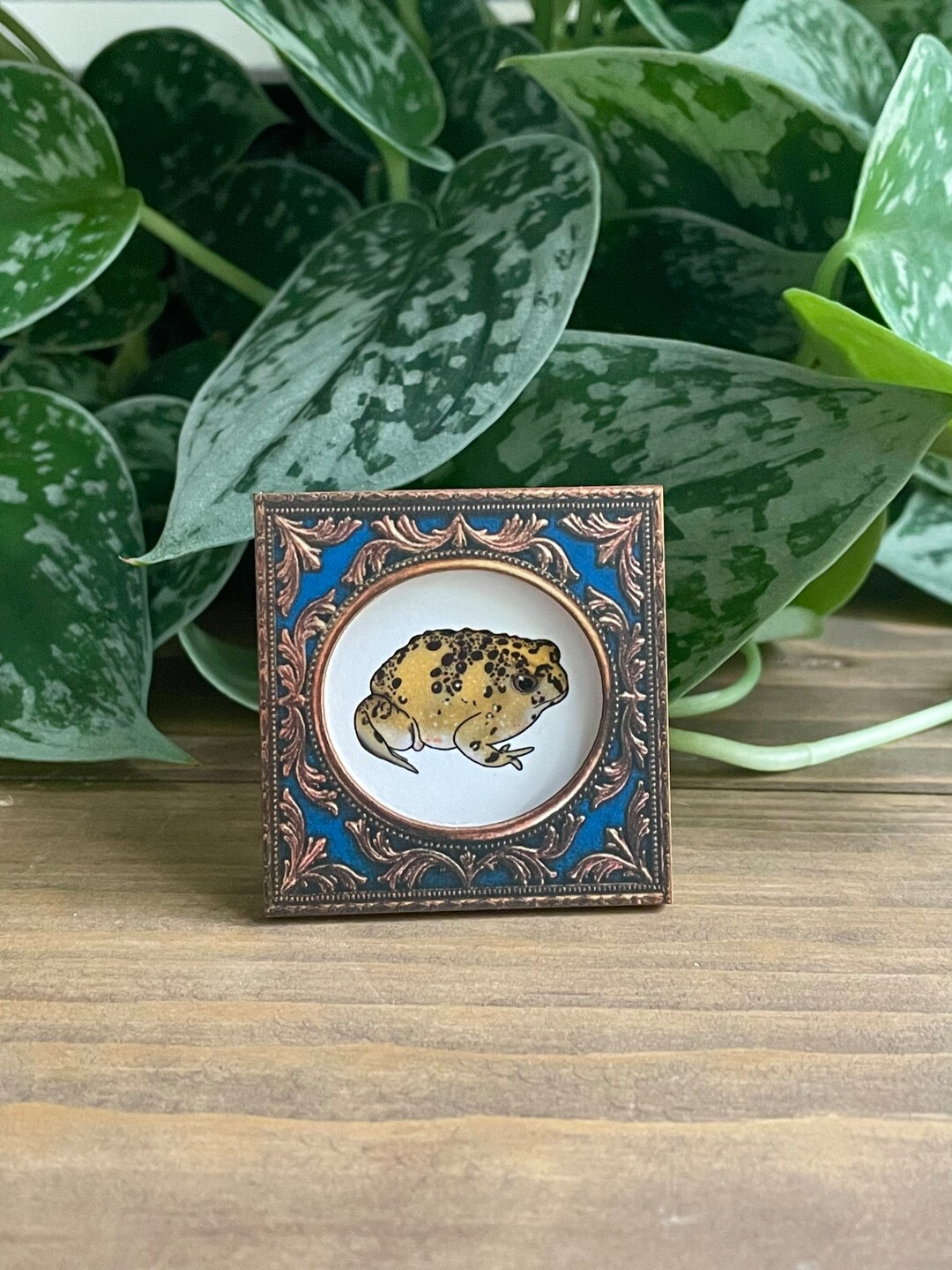 Tiny Framed Toad Print - Etsy