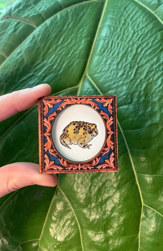 Tiny Framed Toad Print - Etsy