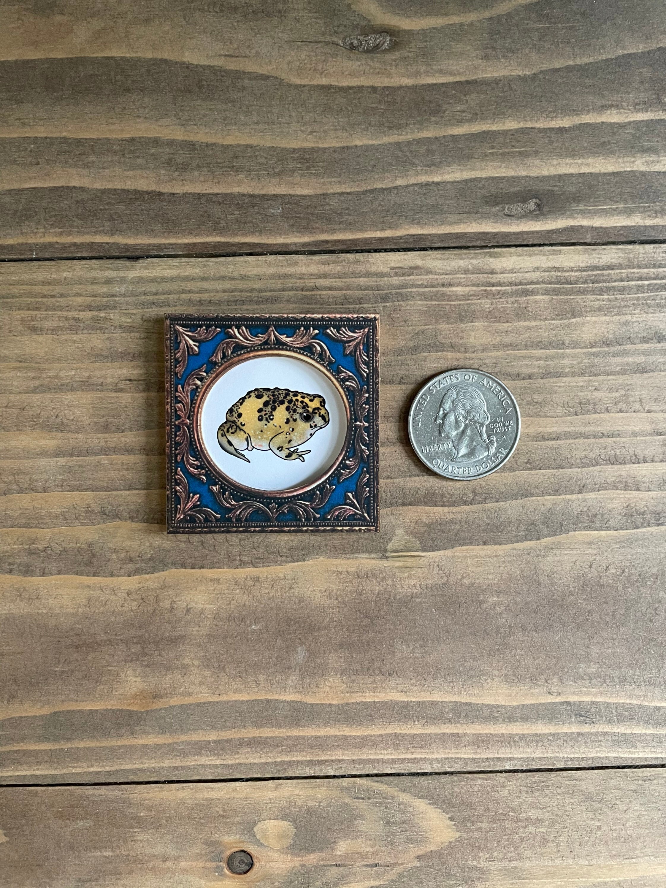 Tiny Framed Toad Print - Etsy