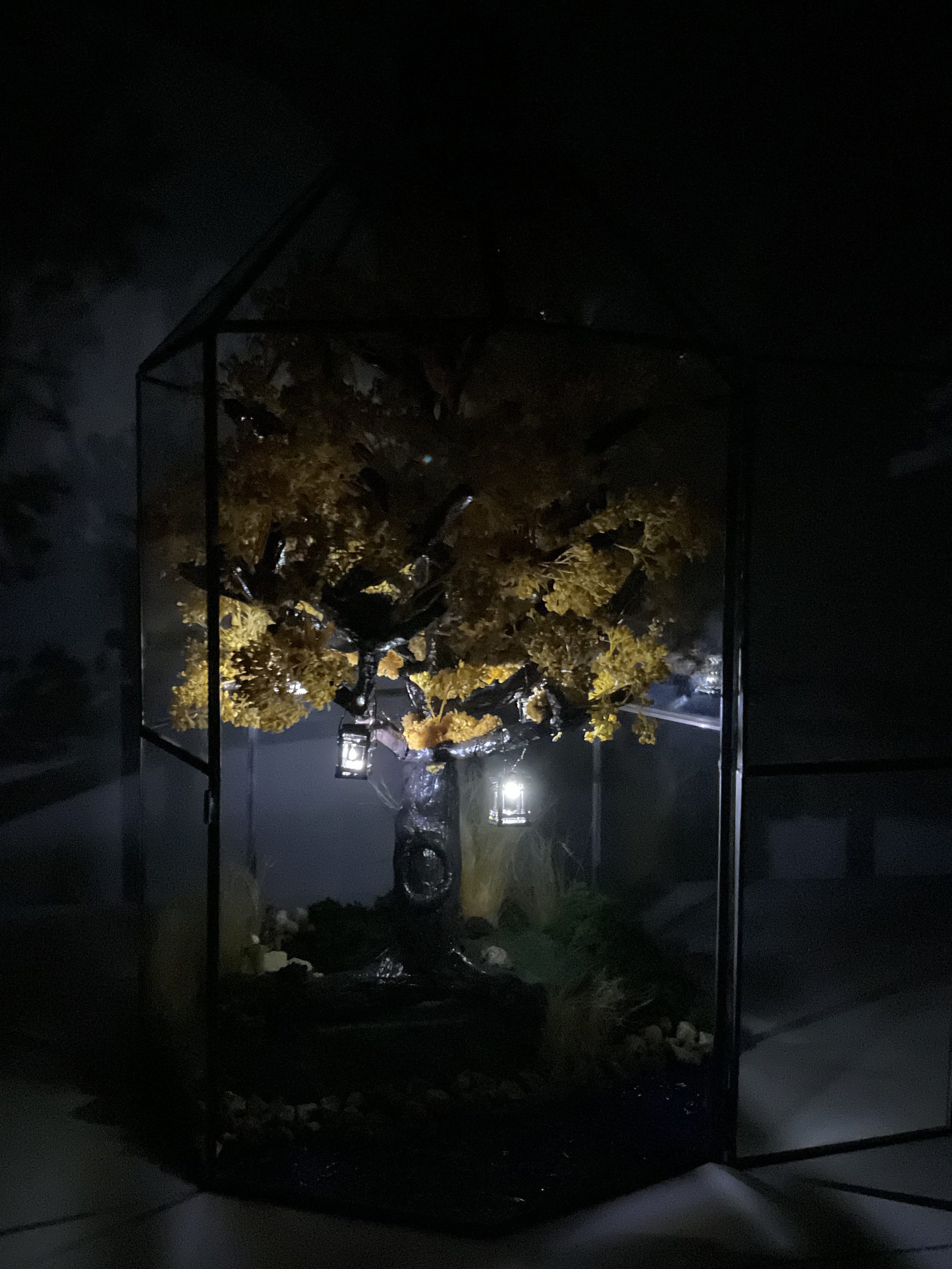 Glass Dome Tree Diorama - Etsy