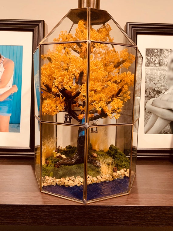 Glass Dome Tree Diorama - Etsy