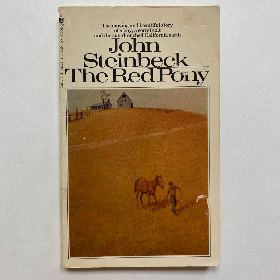 The Red Pony by John Steinbeck 1982 Paperback, Bantam Edition - Etsy