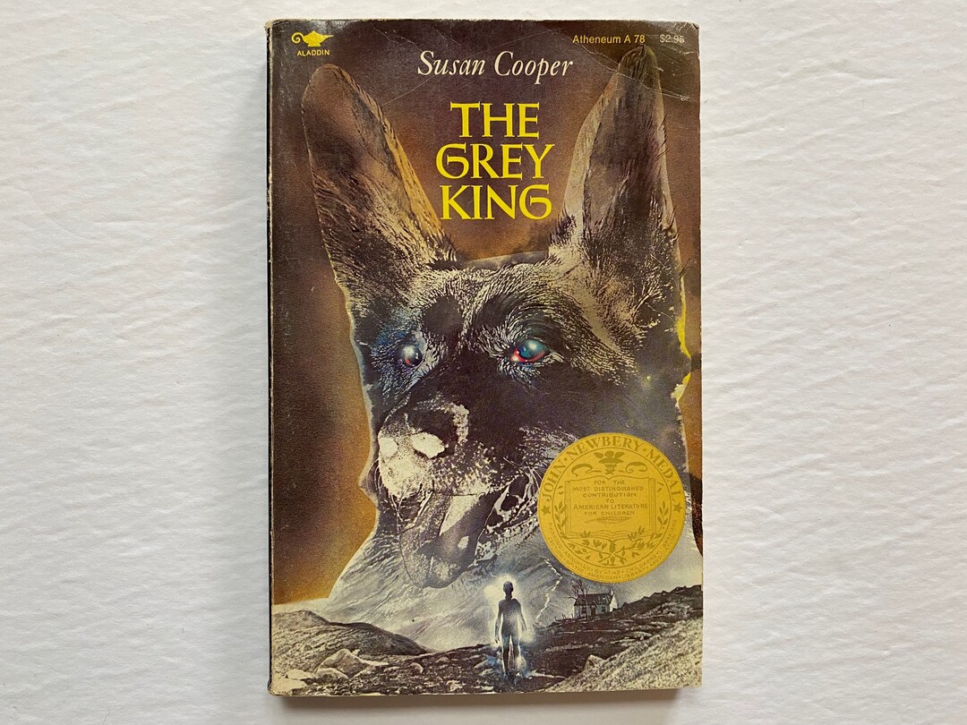 The Grey King by Susan Cooper 1975 Paperback, Newbery Award Winner ...