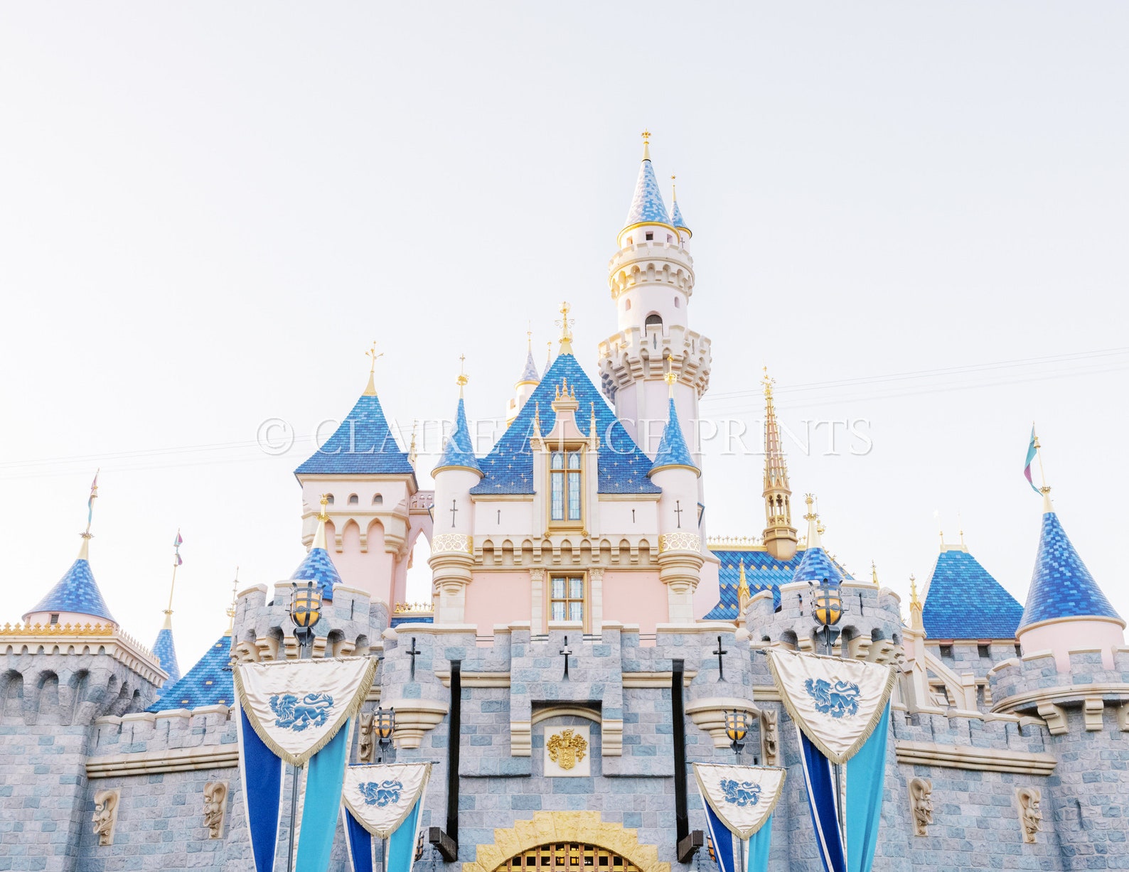 Disneyland Photo, Disneyland Wall Art, Disneyland Castle, Disneyland ...