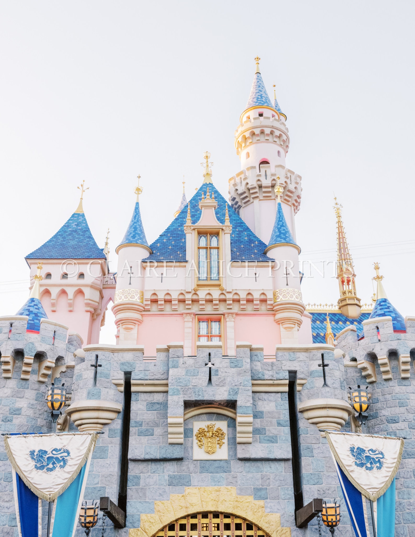 Disneyland Photo, Disneyland Wall Art, Disneyland Castle, Disneyland ...