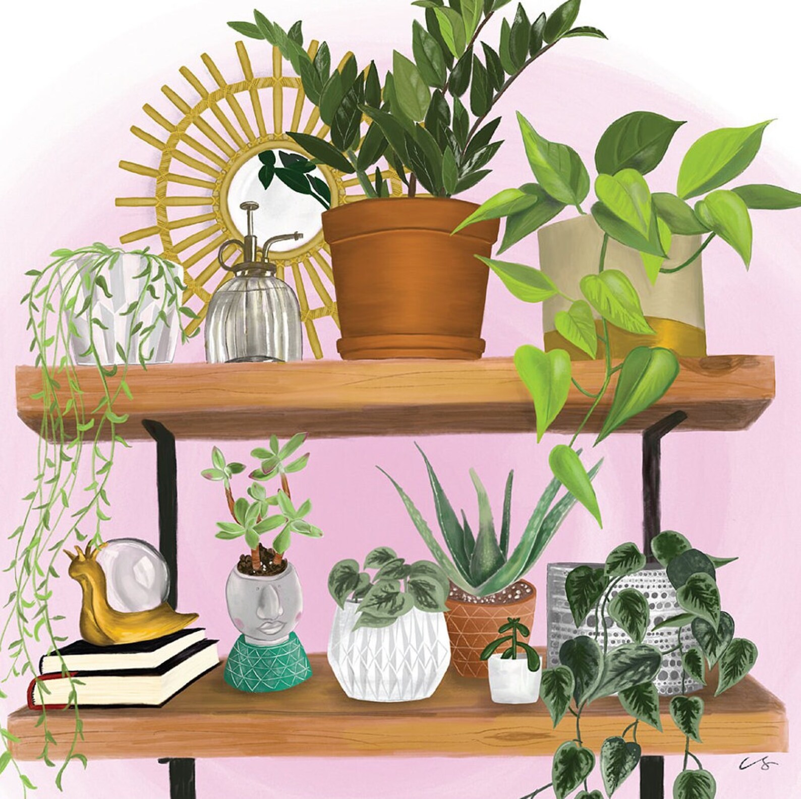 Plant Shelfie Printable | Instant Download - Etsy