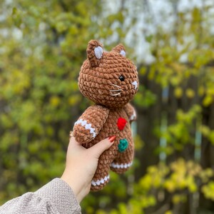 Crochet Gingerbread Cat Pattern - PDF DIGITAL PATTERN - Etsy