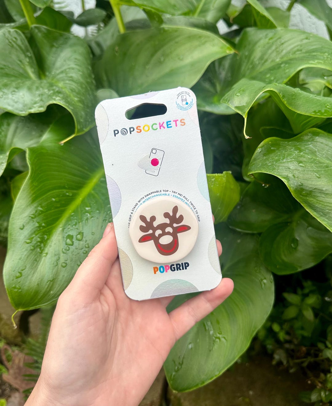 Christmas Reindeer Sugar Cookie Phone Grip, Holiday Pop Grip, Glitter ...