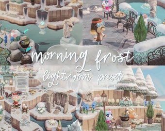 Maple Syrup ACNH Animal Crossing Preset for Lightroom Mobile - Etsy