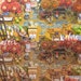 Maple Syrup - ACNH Animal Crossing Preset for Lightroom Mobile - Etsy