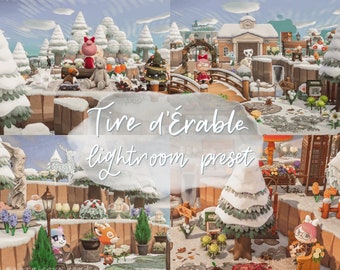 Maple Syrup ACNH Animal Crossing Preset for Lightroom Mobile - Etsy