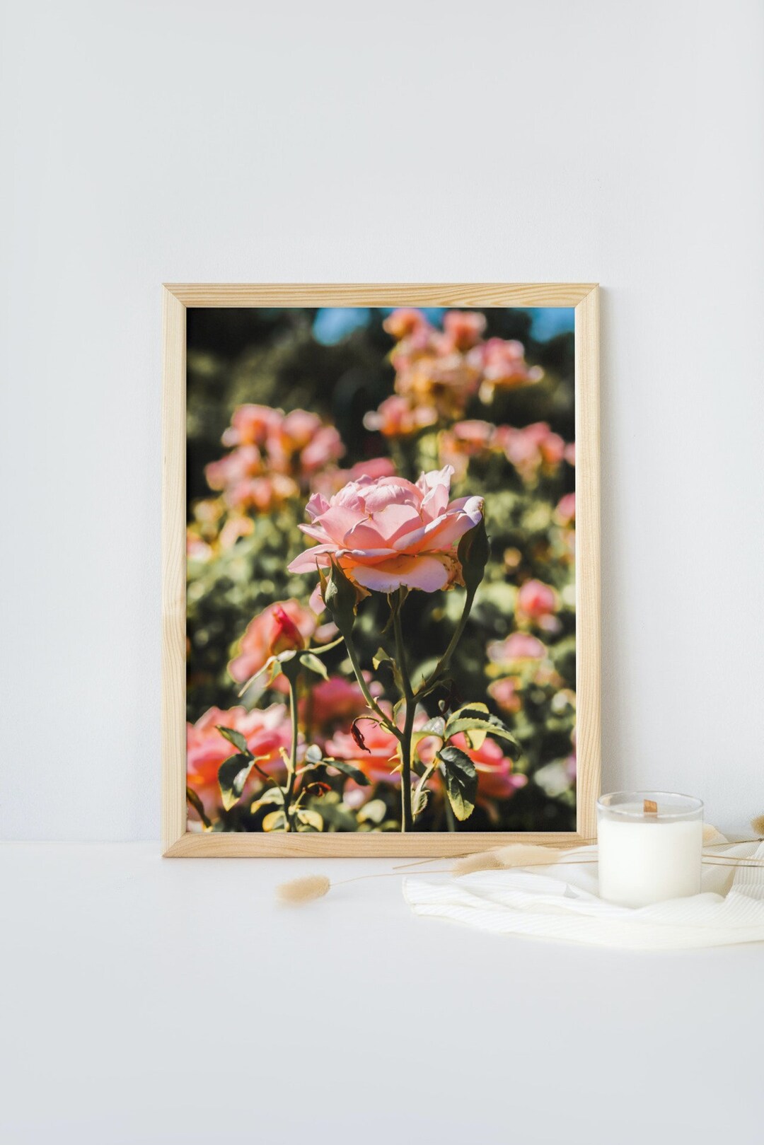 Floral Pink Rose Print, Rose Printable, Rose Print, New York Botanical ...