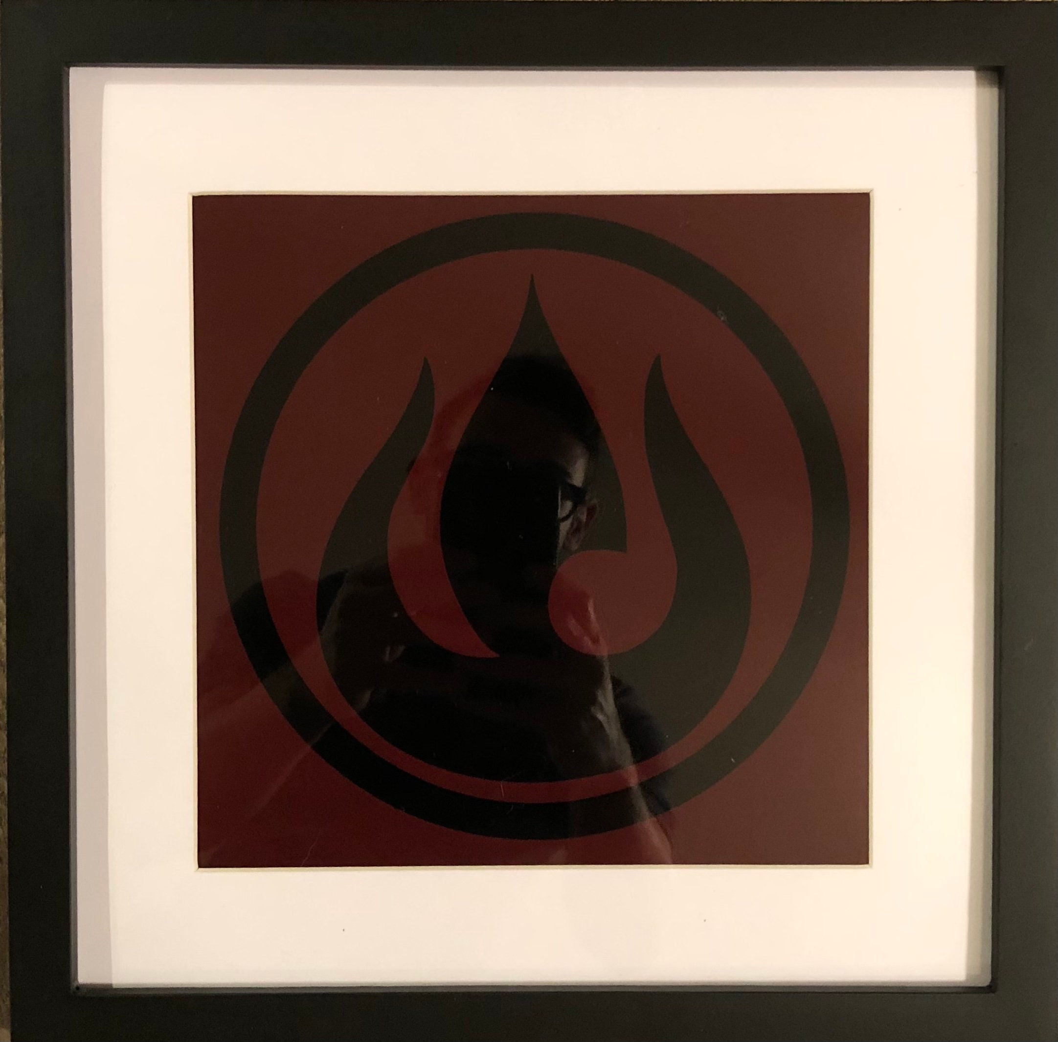 Avatar the Last Airbender - 4 Nation's Flags Digital Download - Etsy