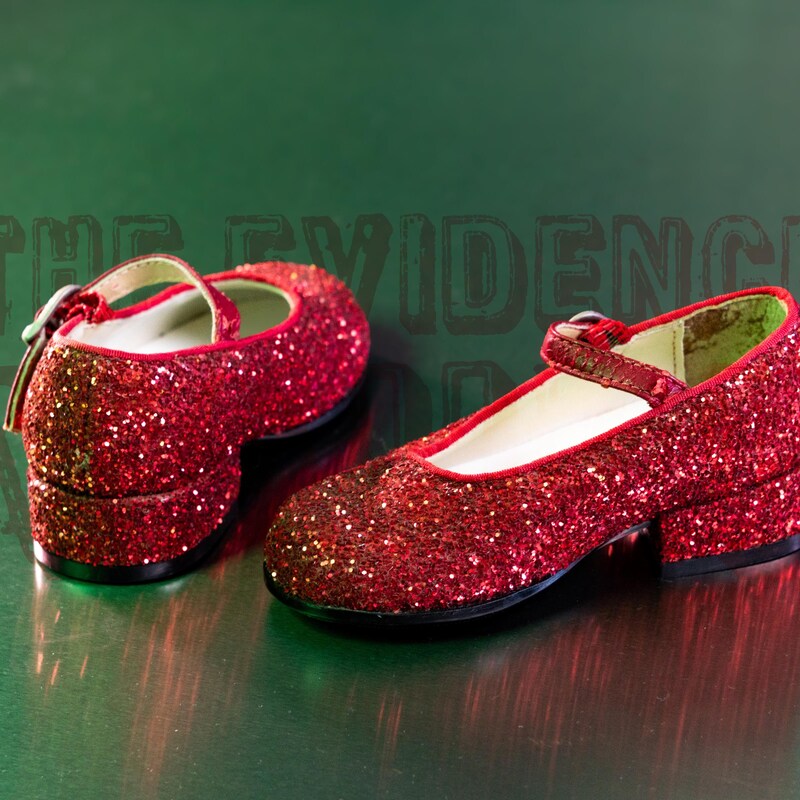 TheEvidenceVault - Etsy