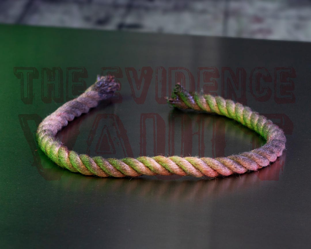 Halloween Kills Rope - Michael Myers Flashback Scene (clean/bloody) - Etsy