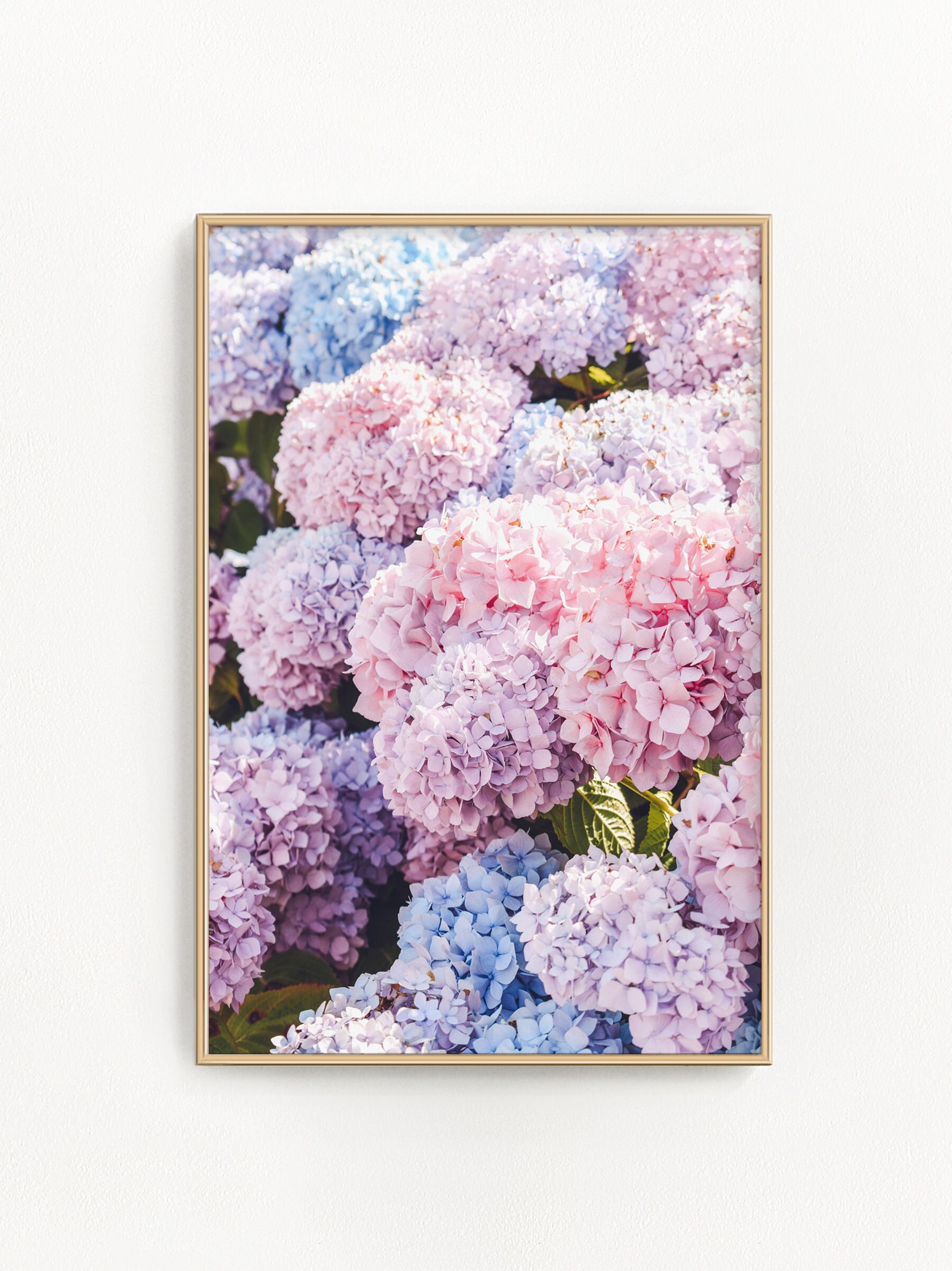 Cape Cod Photography by simplymekb Un-Framed Photo Print of Colorful ...