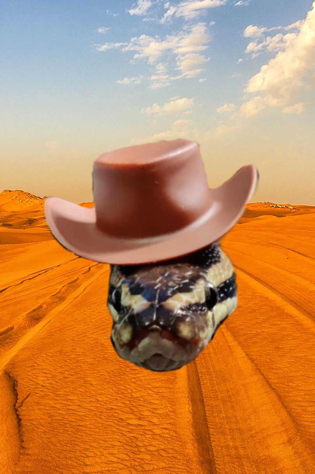 Yeehaw // Brown Cowboy Mini Plastic Pets Hat for Frog Snake Guinea Pig ...