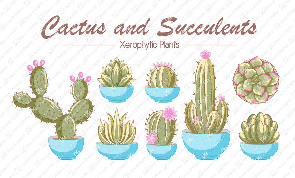 Cactus and Xerophytic Plants, Clip Art, Set Collection, Vector Art ...