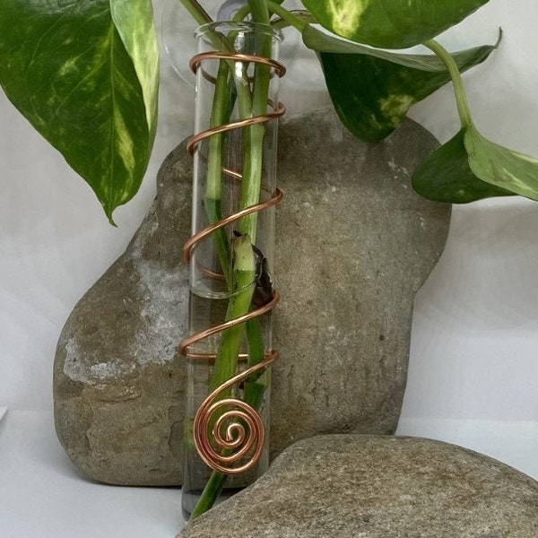 Test Tube Vase - Etsy