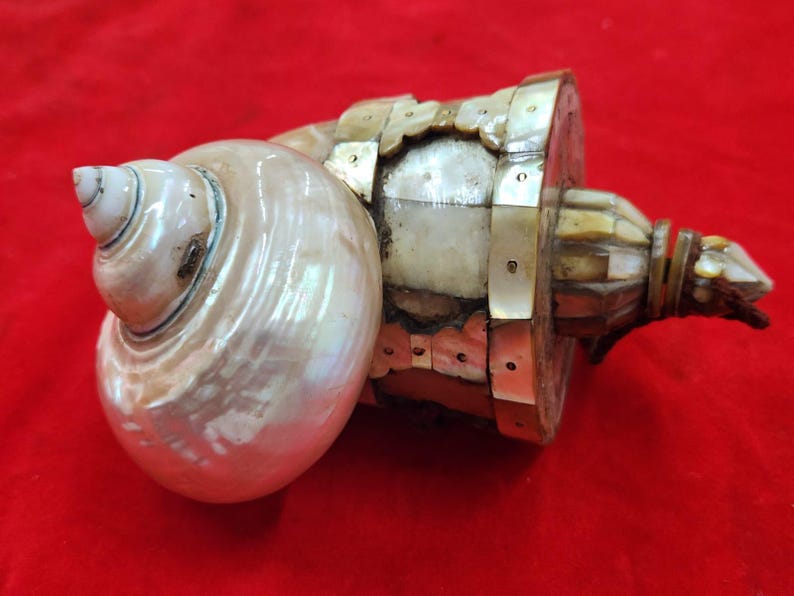 Rare Mughal Islami Mother of Pearl Veneered Turbo Shell Powder Flask ...