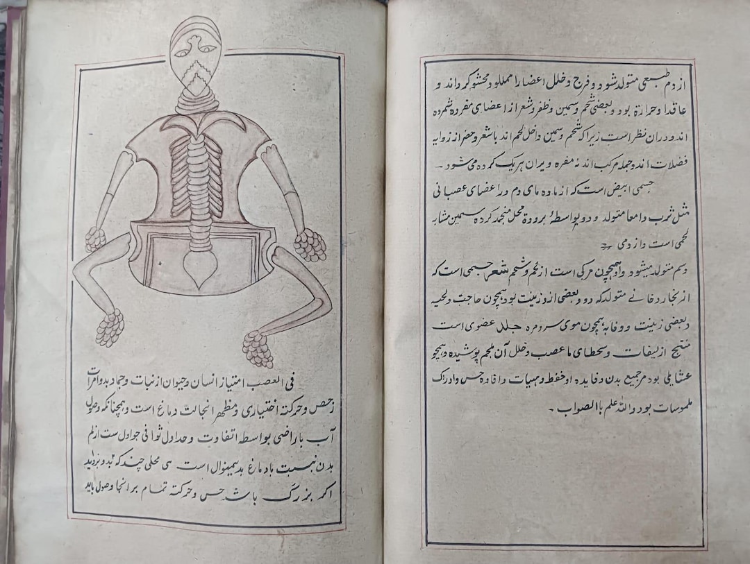 Rare Islamic HANDWRITTEN Ottoman Arabic Medical Manuscript With ...