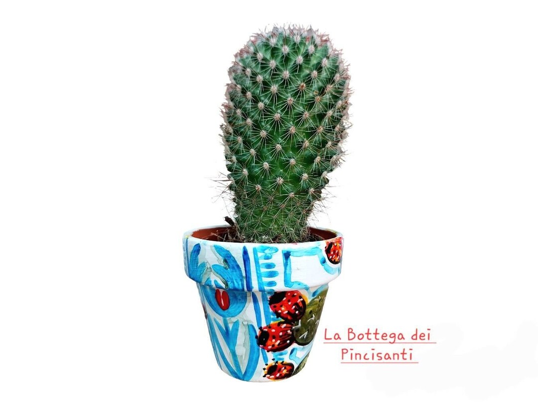 Terracotta Vase, Planter With Hand-painted Prickly Pears, Sicilian ...