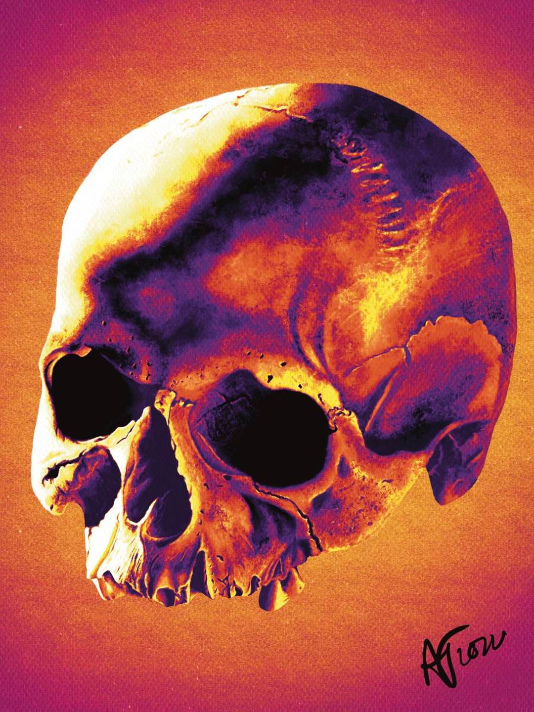 Skull Art Print Poster, Black and White or Color Print - Etsy