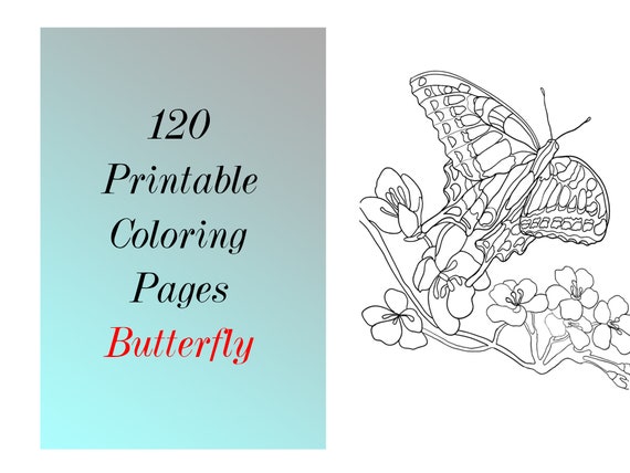 Coloring Pages Butterfly PDF Printable Cute Easy Color Pages | Etsy