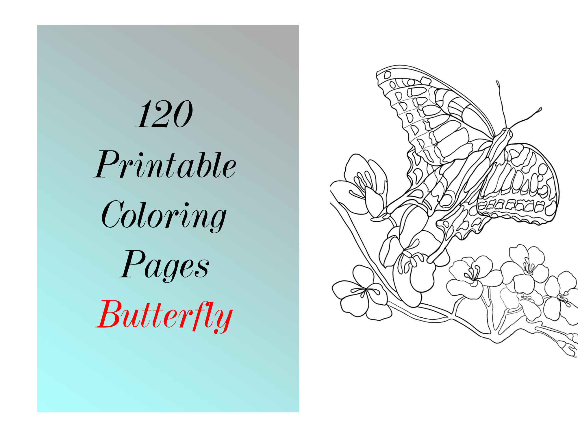 Coloring Pages Butterfly PDF, Printable Cute Easy Color Pages to Print ...