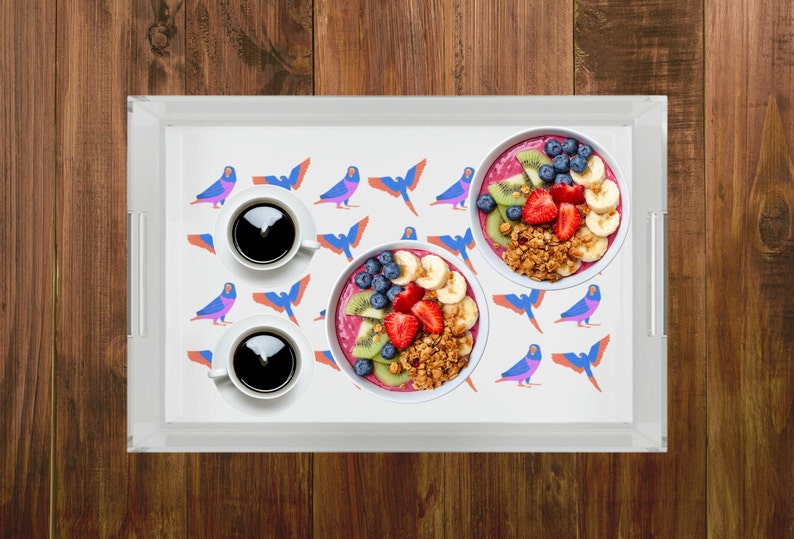 Pink Parrots Tropical Dinner Party Tray Serving Food & Drink Clear ...