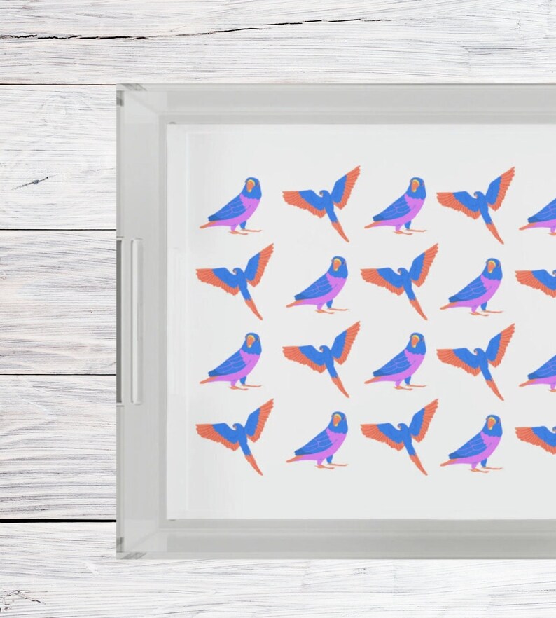 Pink Parrots Tropical Dinner Party Tray Serving Food & Drink Clear ...