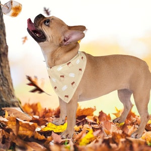 Smore's Dog Bandana Fall Pet Bandana Fall Pet Apparel Cozy Autumn ...