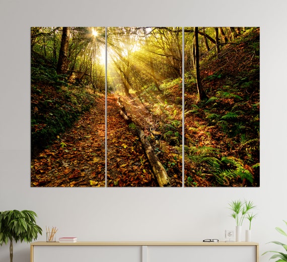 Autumn Forest Sunset Canvas Print Forest Wall Art Forest | Etsy